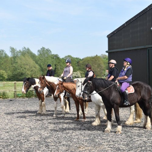 Riding Lessons | Valley Farm